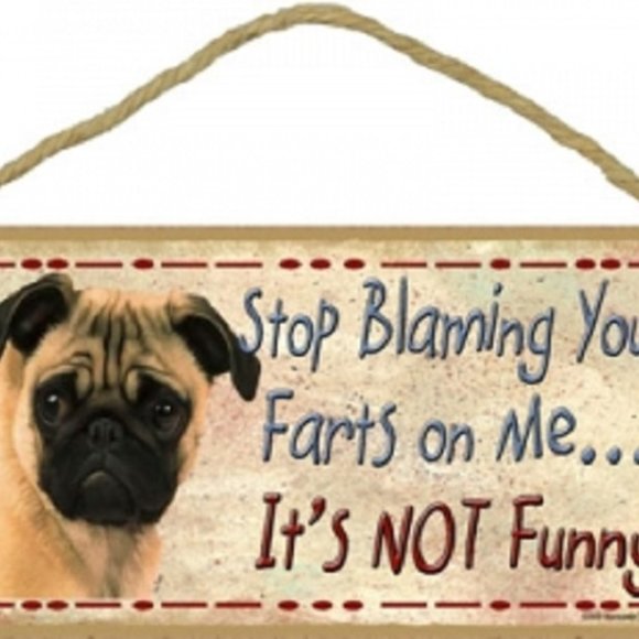 Dog | Stop Blaming Your Farts On Me Pug | Poshmark